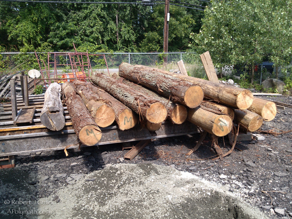 Knickerbocker Park Benches - APolymath